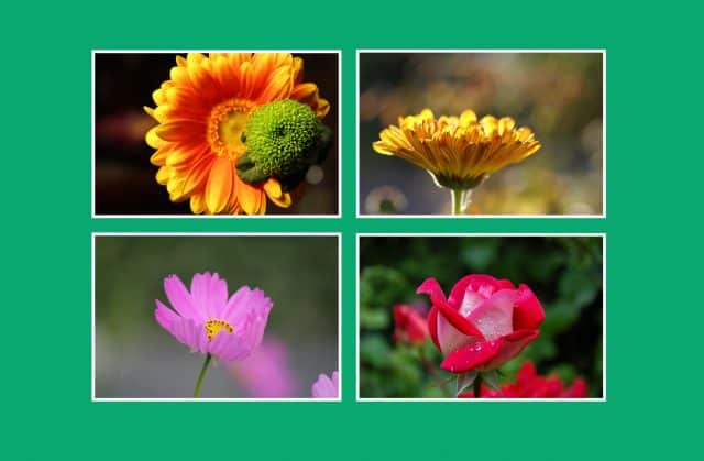 19+ LightBox Code Snippets — CodeHim