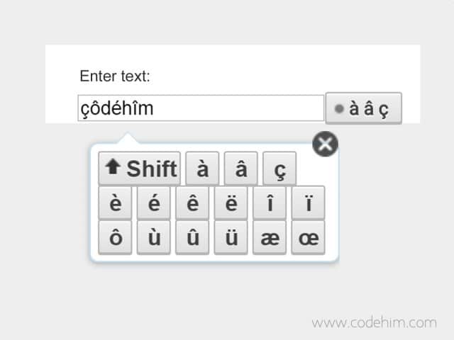 Text & Input Code Snippets — CodeHim