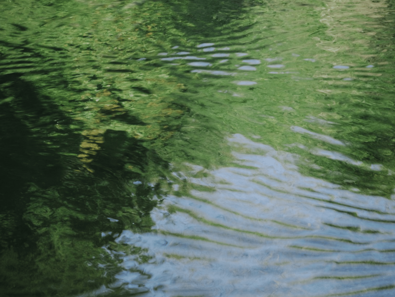 jQuery Water Ripple Effect on Click & Hover — CodeHim jQuery Water Ripple Effect on Click & Hover — CodeHim