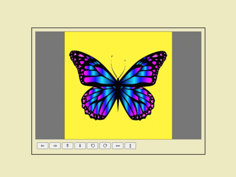 Html5 Canvas Image Viewer With Rotate And Flip — Codehim