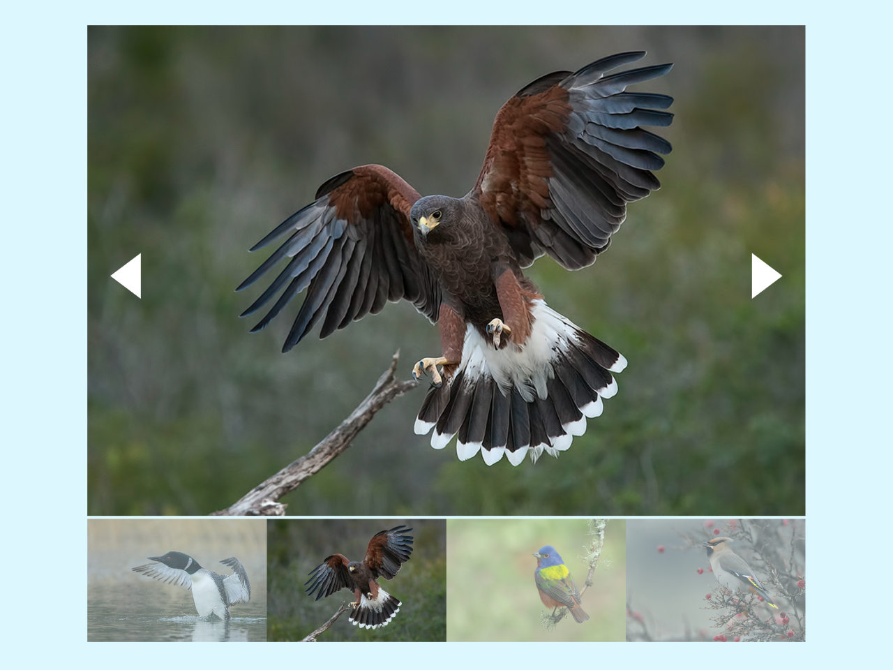 Slideshow JavaScript with Buttons — CodeHim Slideshow JavaScript with Buttons — CodeHim