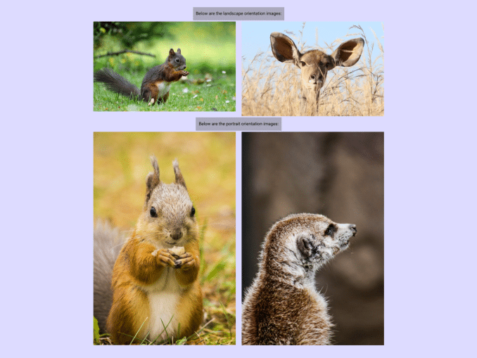 163+ Vanilla JavaScript Code Snippets — CodeHim 163+ Vanilla JavaScript Code Snippets — CodeHim